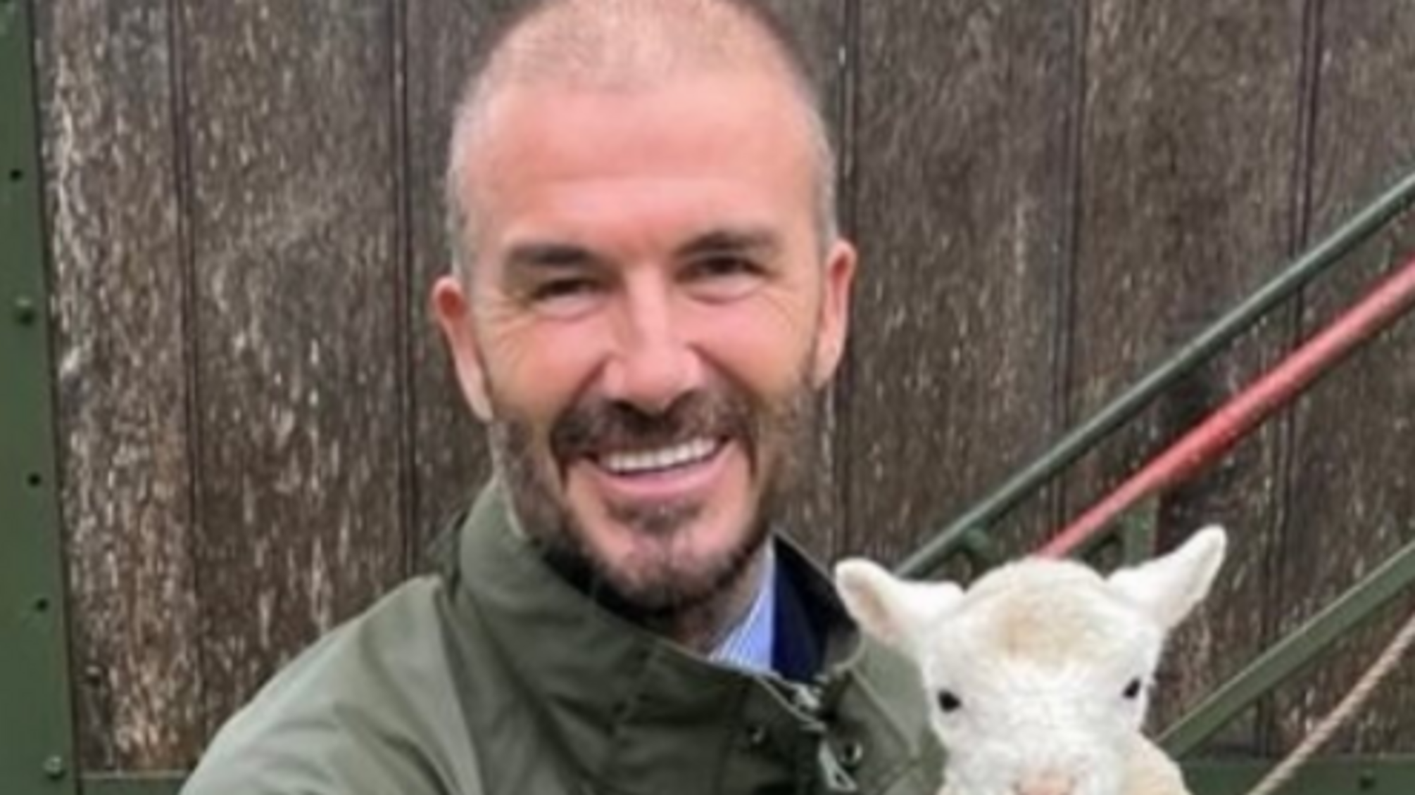 Новий британський тренд: Девід Бекхем повторив зачіску Гаррі Стайзла - Life - StopCor