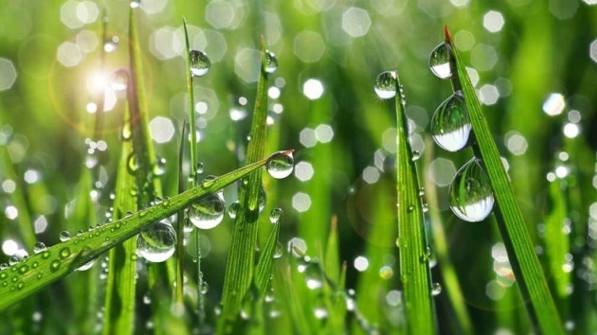 Частину України накриють дощі з осінньою прохолодою: де погіршиться погода сьогодні - Екологія ...